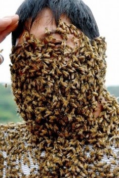 Razmišljanja : Prstom u osinjak