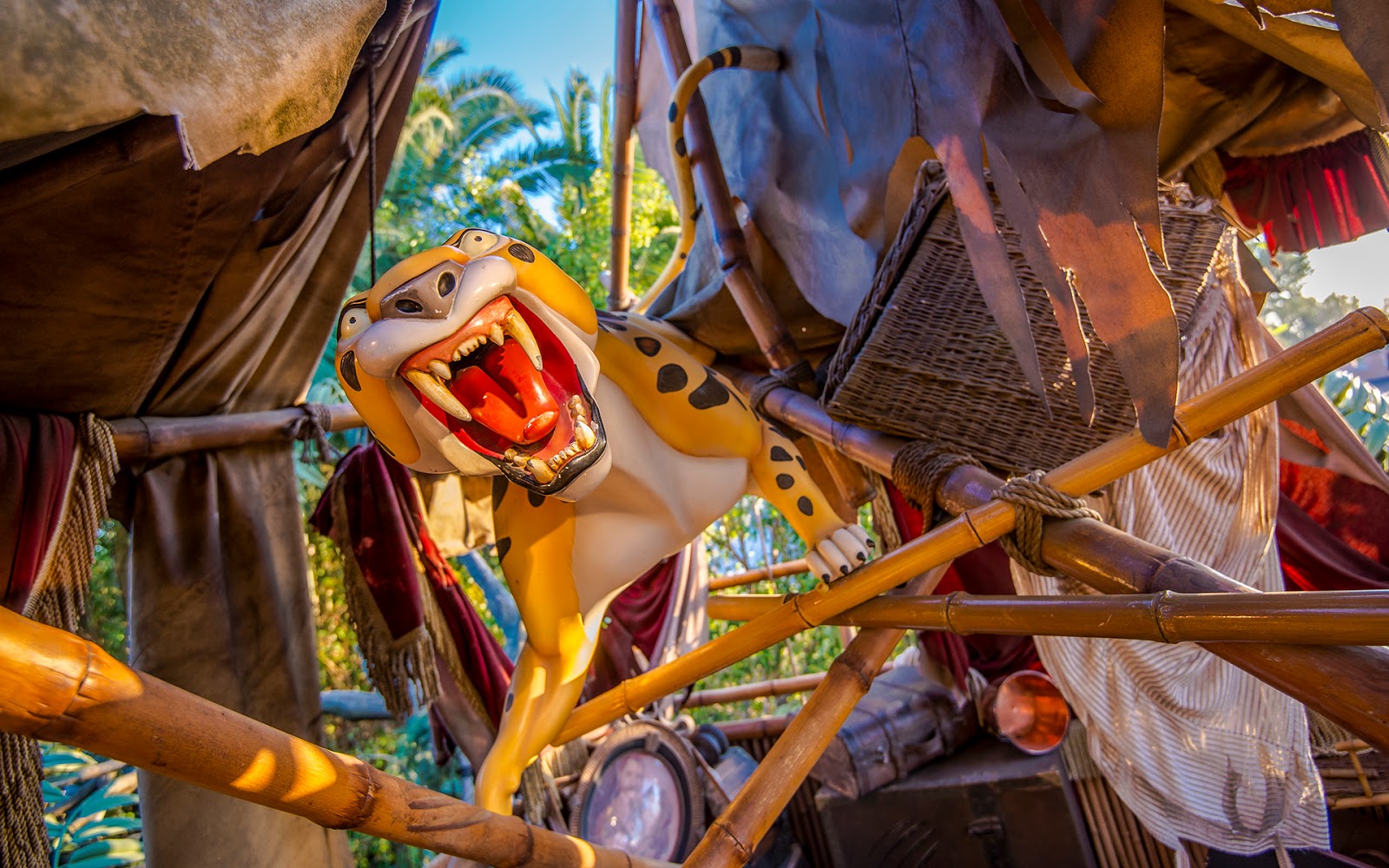 Scenes at the Treehouse