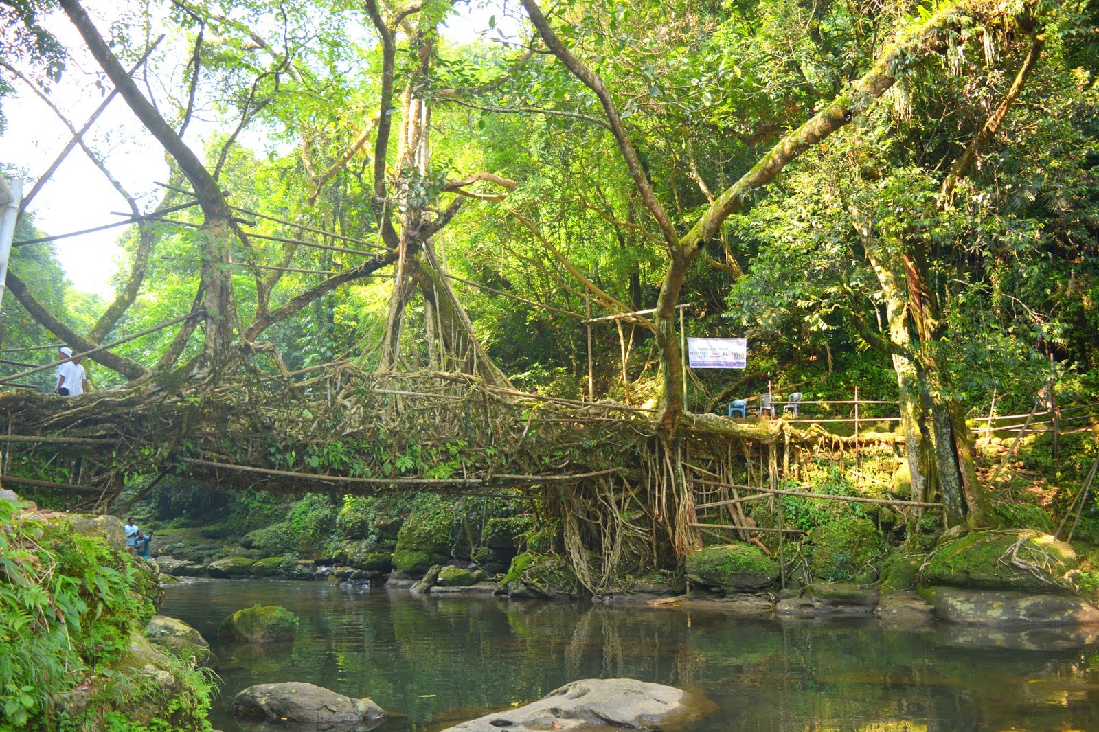 Meghalaya: Dawki, Mawlynnong, Riwai