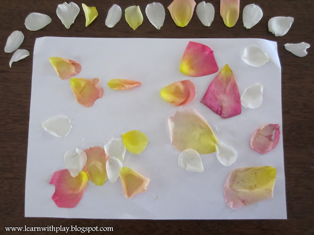 Learn with Play at Home: Sensory Flower Petal Picture