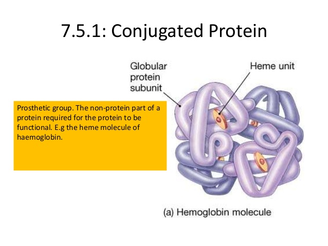 Lecture Notes in Medical Technology: Lecture #10: Proteins