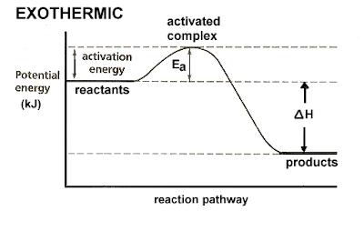 Chemistry 11 MCJC: Exothermic and Endothermic Reactions