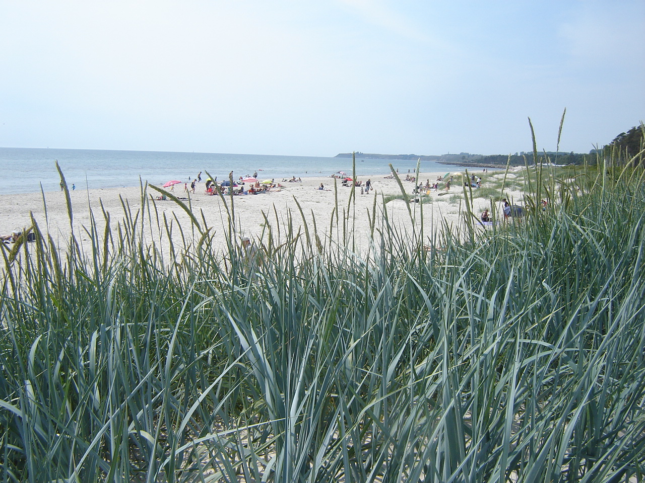 Skånska Resor: Skånska sommarbilder