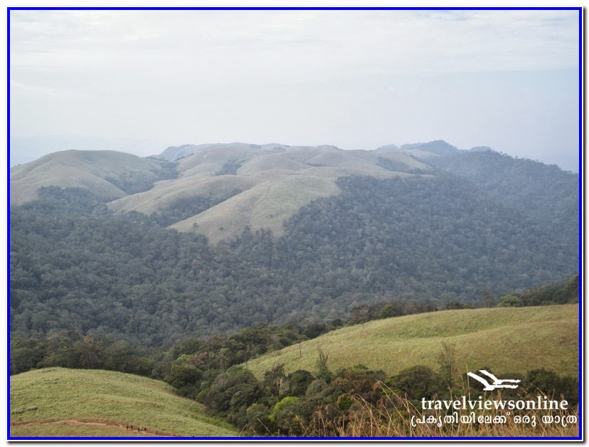 പ്രകൃതിയിലേക്ക് ഒരു യാത്ര (a travel towards NATURE): PULLUMEDU a unique ...