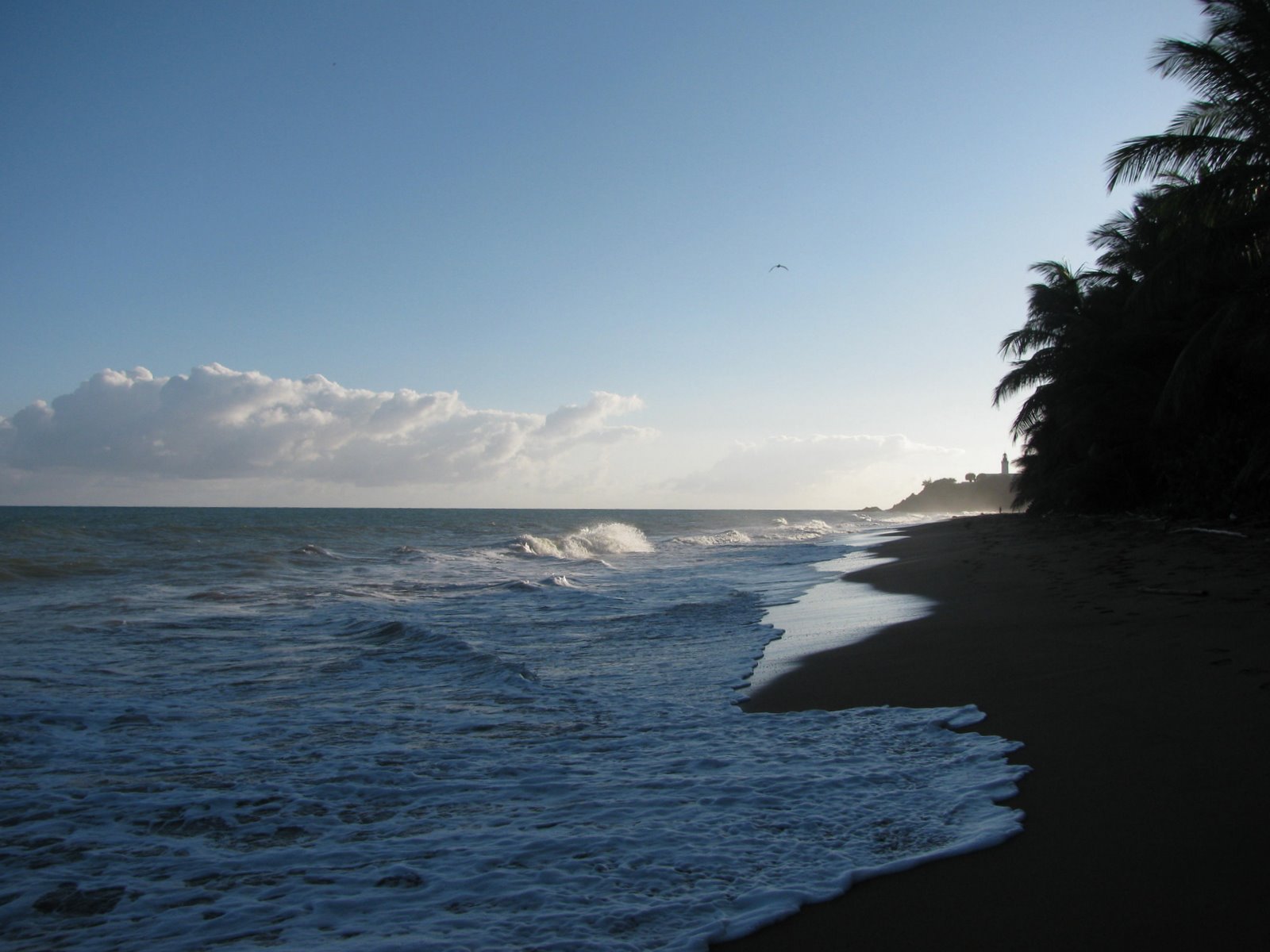 Maunabo Beach In Contrast