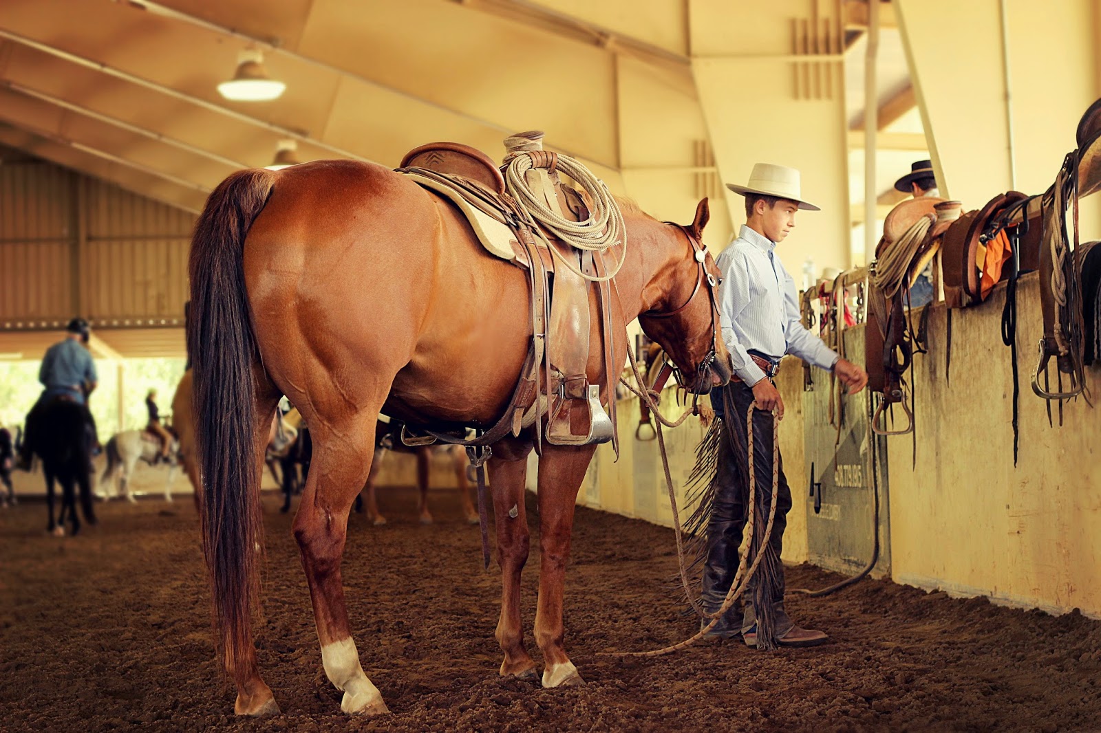 Buck Brannaman - Horse Clinic - Thorson's Arena, Morgan Hill, CA ~ The ...