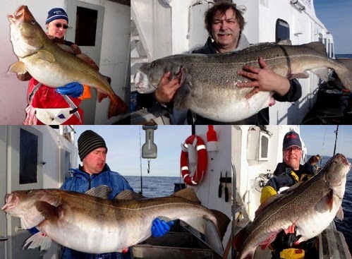 International Fishing News: NORWAY: a great start for cod fishing