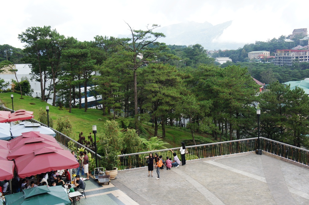 OUR PHILIPPINE TREES: My Last View of the SM Baguio Pine Trees