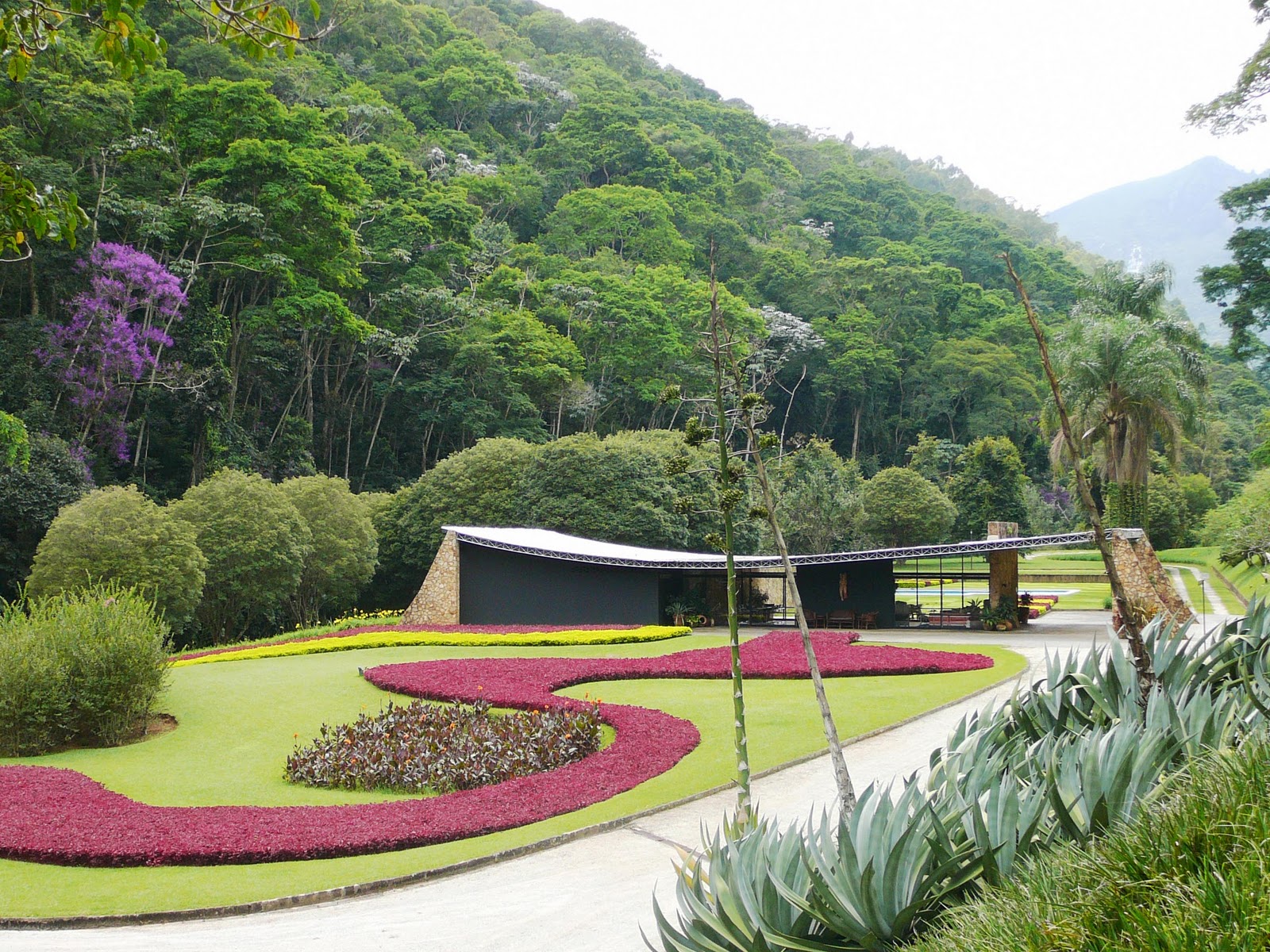 BRAZIL BY LOCALS: Burle Marx. Brazilian landscape architect.