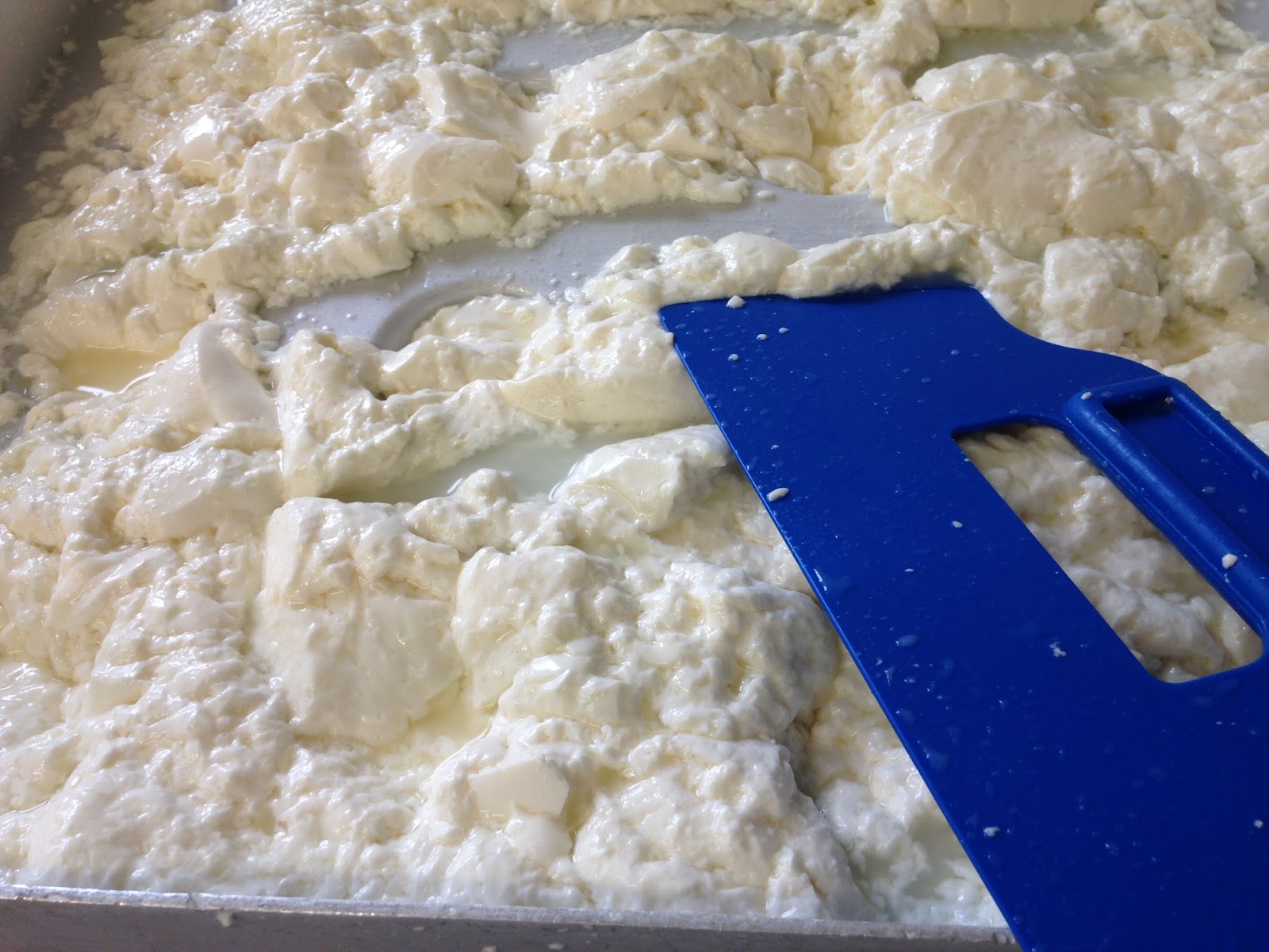 La Laiterie de Paris : Partir faire du Chaource AOP chez l'un des rares ...