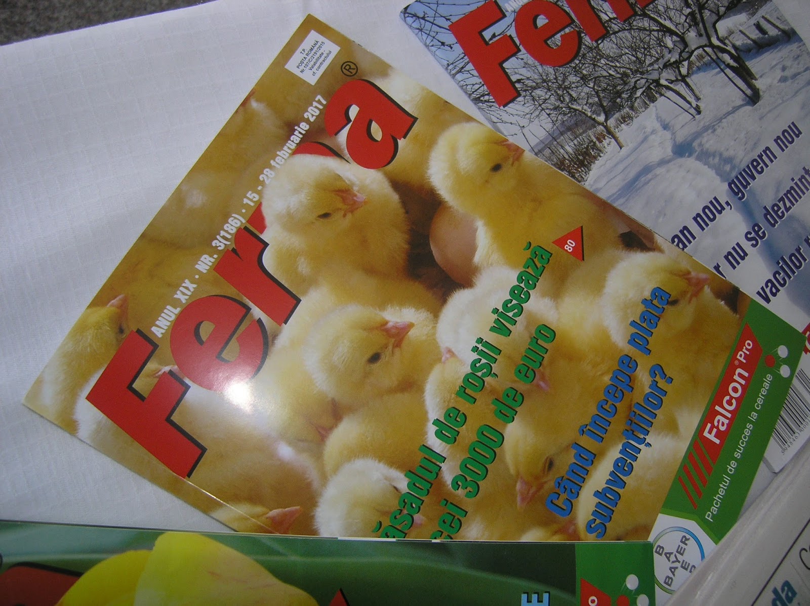 Despre pasari si nu numai: Student pentru o zi în laboratoarele de la ...