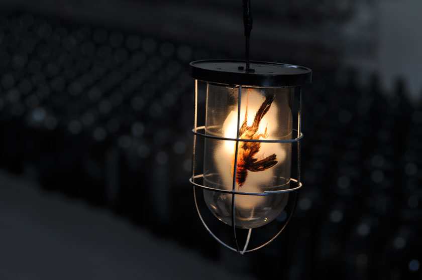 the art of now: teaching chinese art: Liu Zhuoquan