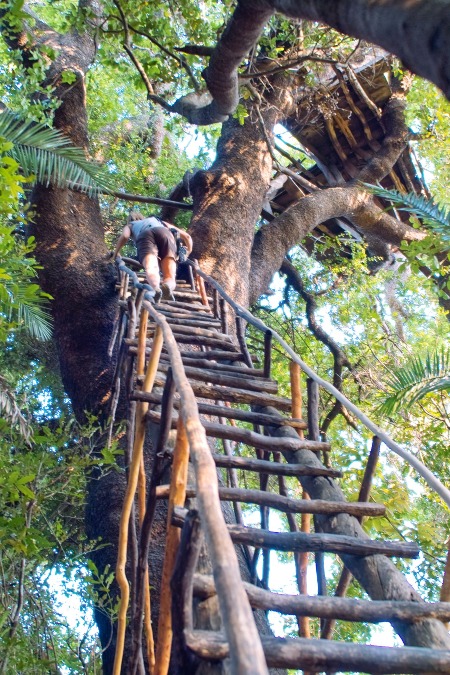 Aileen Moves to Zambia to Chase Baboons: Kasanka National Park