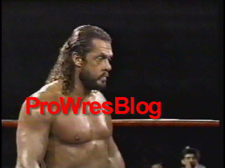 ProWresBlog: WCW Power Hour 1/5/1991 Review