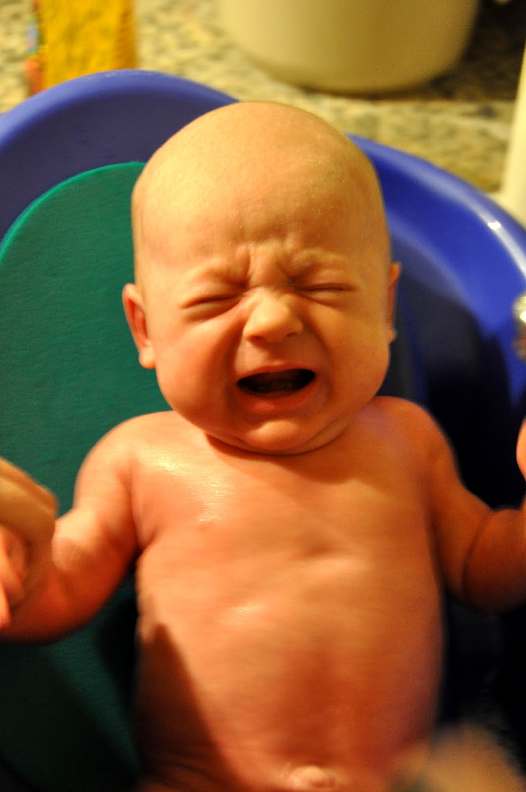 The Johnston Chronicles: First bath