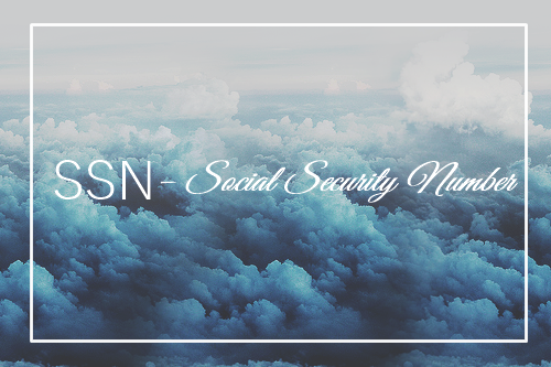 a l e s a n d r a in the USA: SSN – Social Security Number