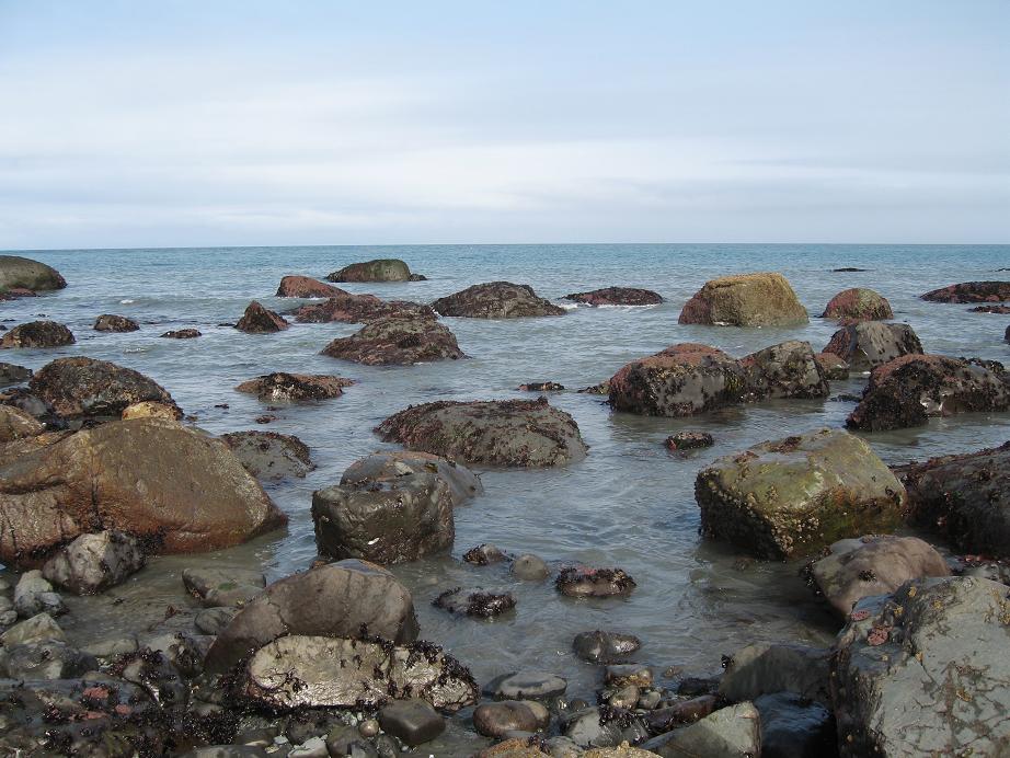 Middleton Island, Gulf of Alaska: The 1956 Biological Reconnaissance of ...