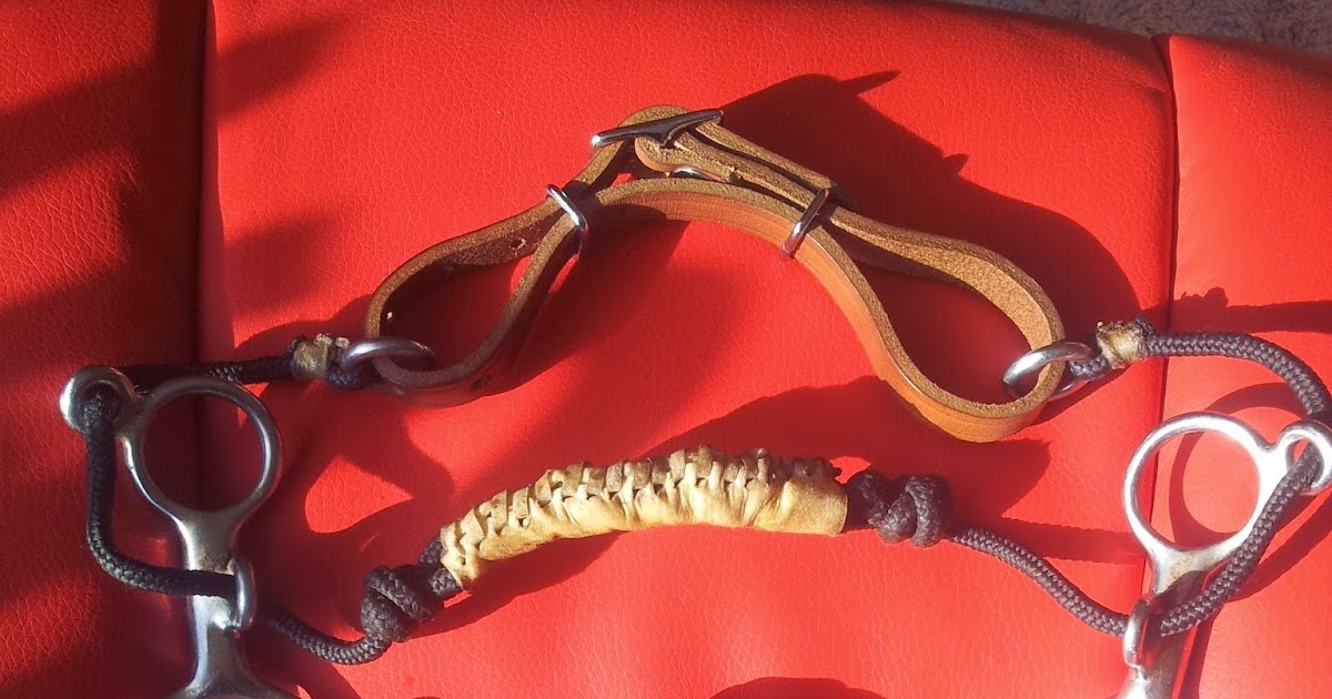 Foundation Reining Training Centre: Bit for Sale - Used Myler Long ...