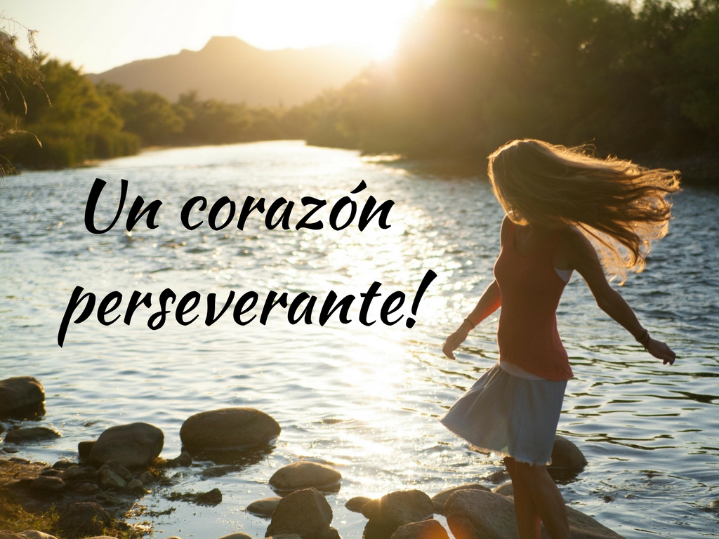 Te Haré Entender...: UN CORAZÓN PERSEVERANTE!