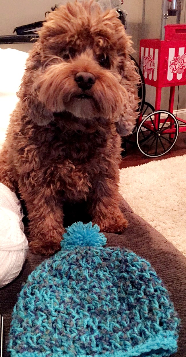 The Hippy Hooker: Funky Pom Pom Beanie Free Pattern