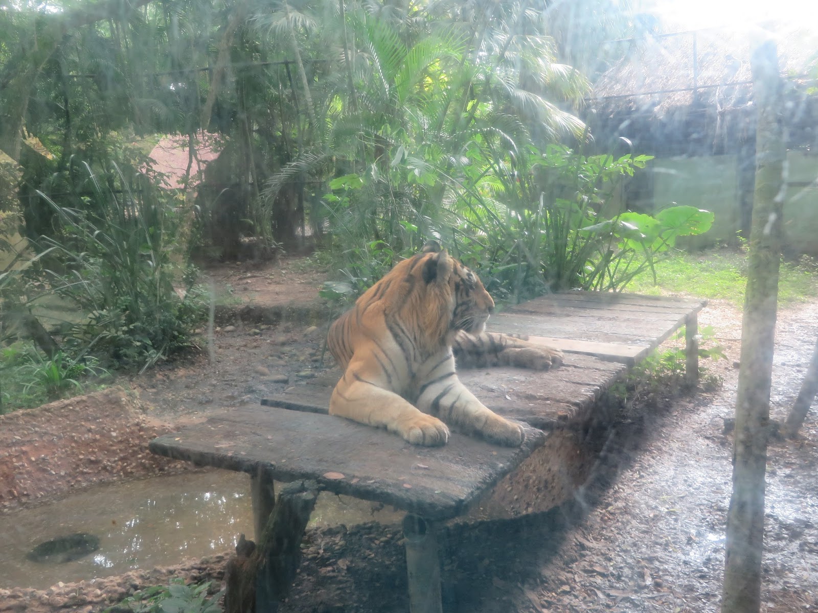 Noticias en Linea de Tabasco: ¡ESTO TAMBIEN ES MEXICO!: YUMKÁ, EL ZOO ...
