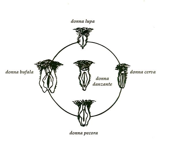 Tipi Di Vagina