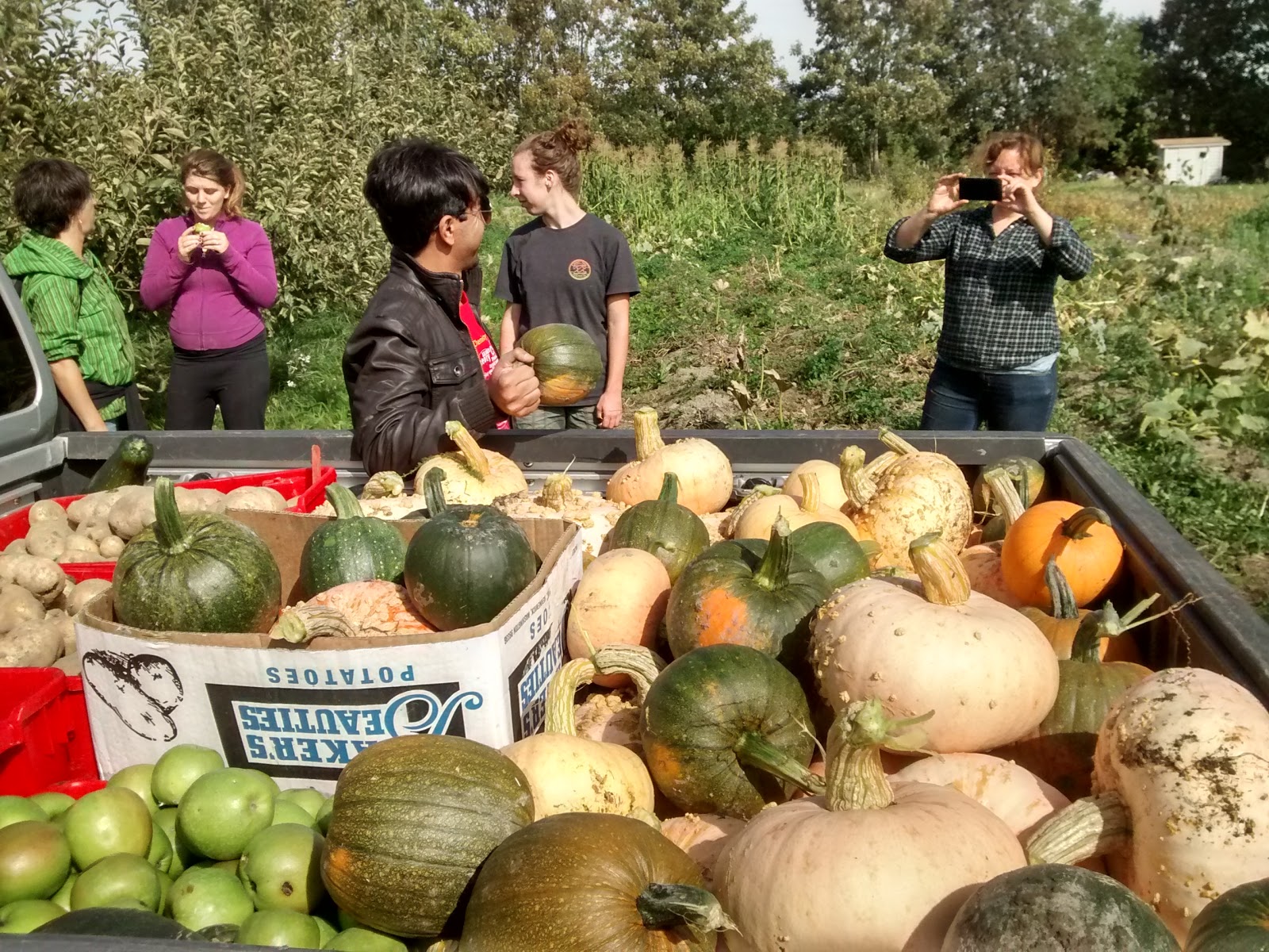 Regenerative Agroecosystems: Final orchard harvest and manure spreading