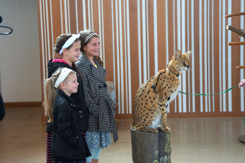 Bates Family Blog: Bates Updates and Pictures | Gil and Kelly | 19 Kids ...