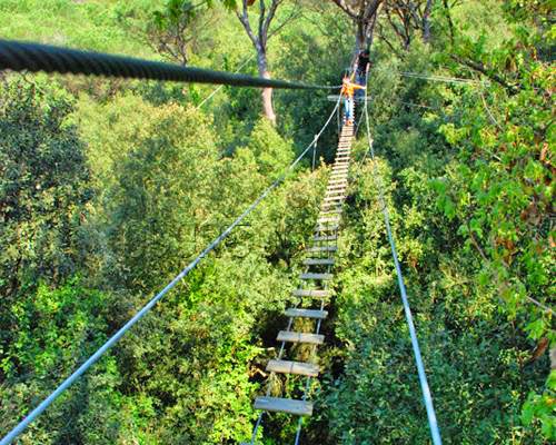 Viajar a Barcelona: Bosque vertical Dosrius