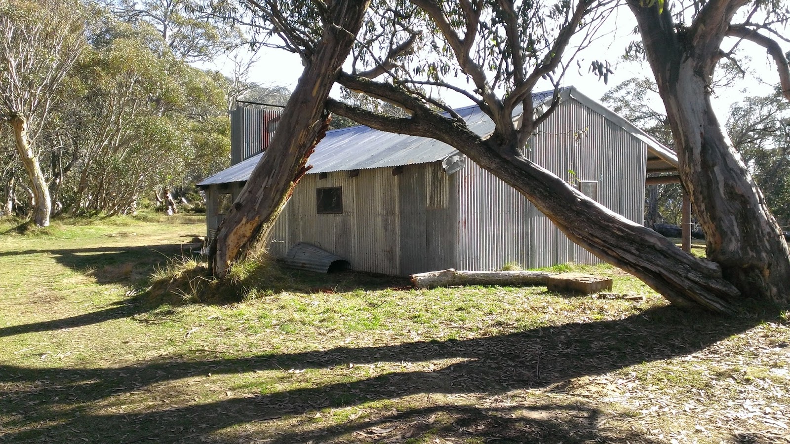 linda & Peter on Tour: Photos around, Sheepyard Flat, Lovicks Hut ...