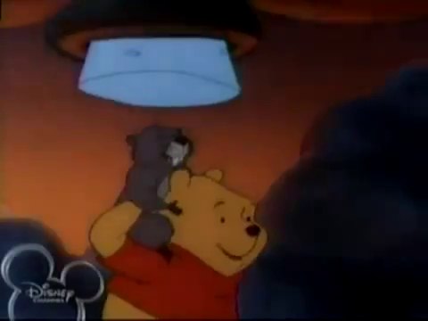 The New Adventures of Winnie The Pooh: Pooh Skies Part 4