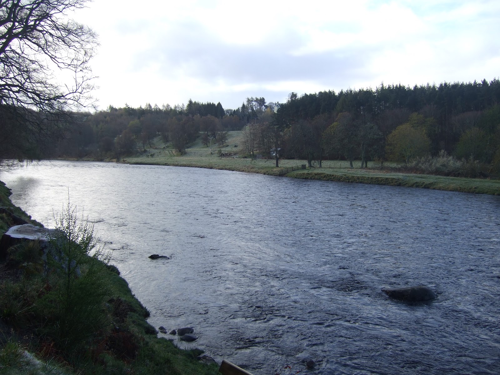 Dee & Don Salmon Fishing: April 2012
