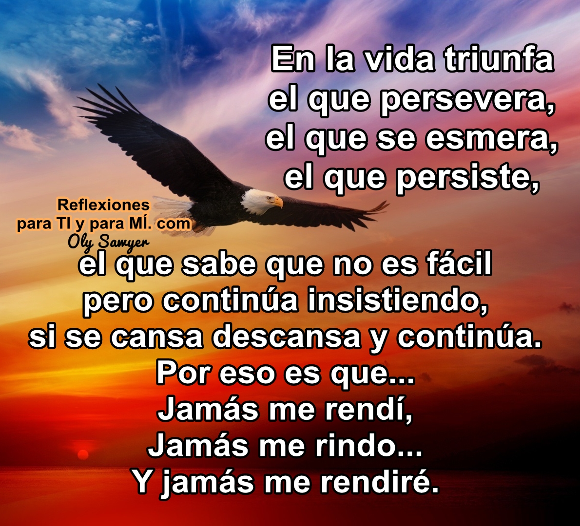 Reflexiones para TI y para MÍ: ** Quién triunfa en la Vida???