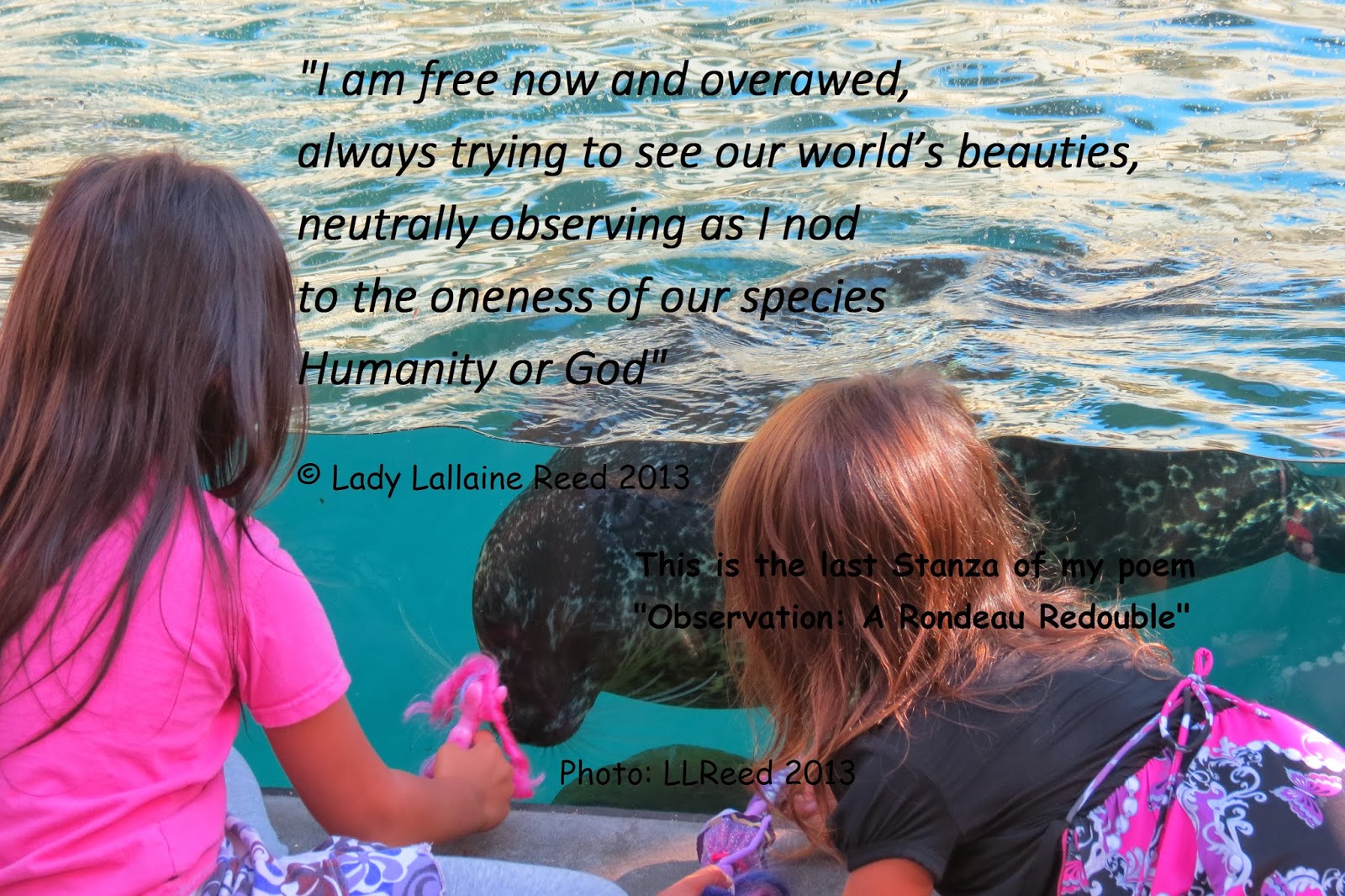 Lady Lallaine Reed's Positive