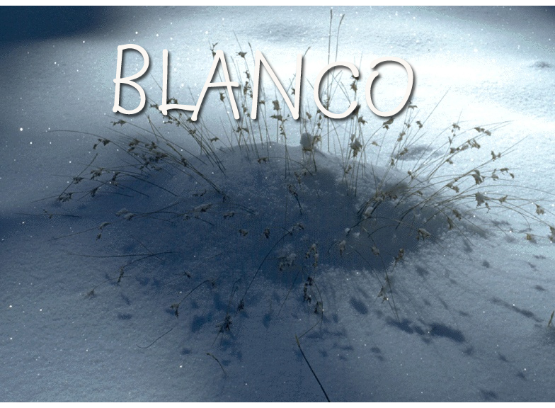 RECURSOS y ACTIVIDADES para Educación Infantil: COLOR BLANCO