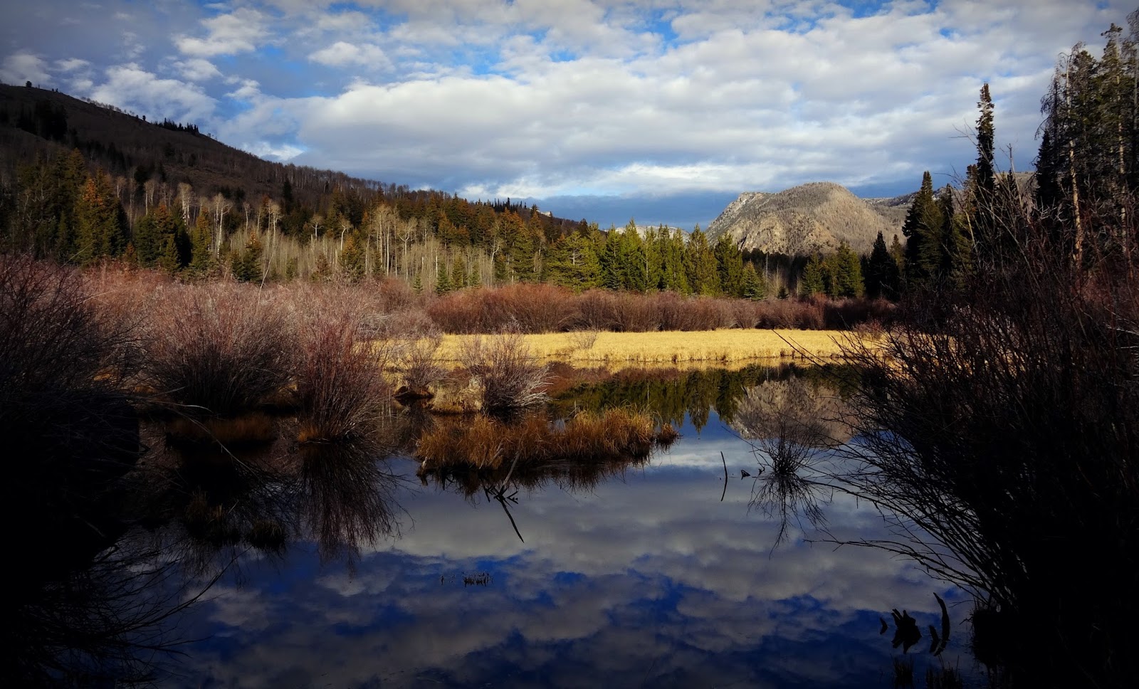 Dream Packer Wyoming Trails: New Fork Lake