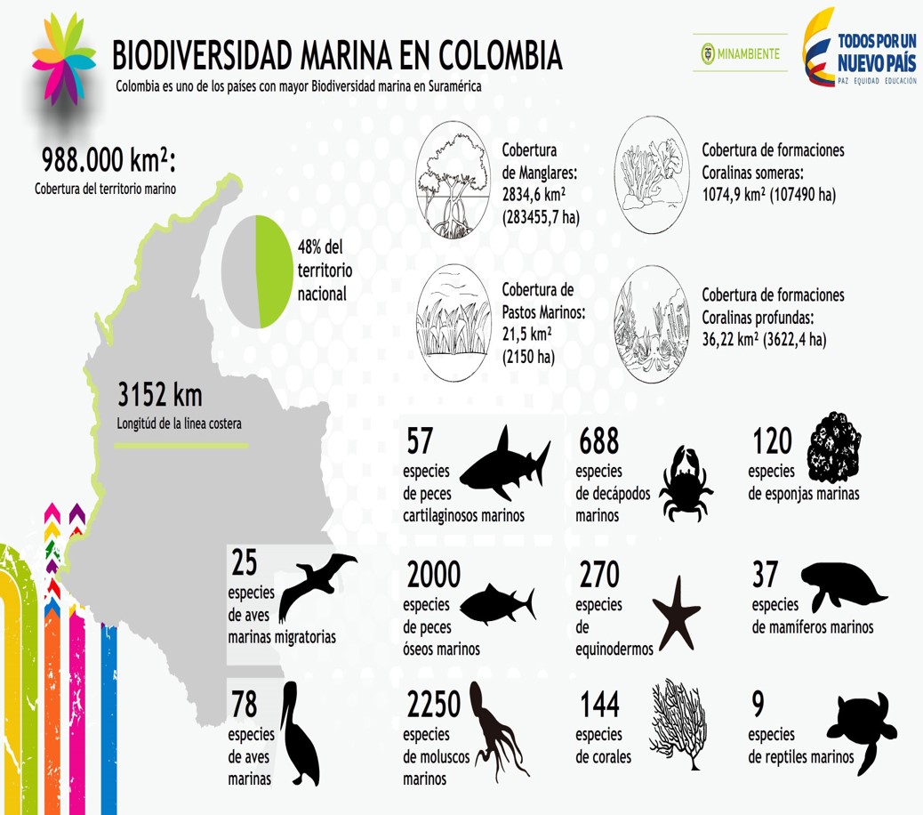 LA BIODIVERSIDAD: BIODIVERSIDAD COLOMBIANA