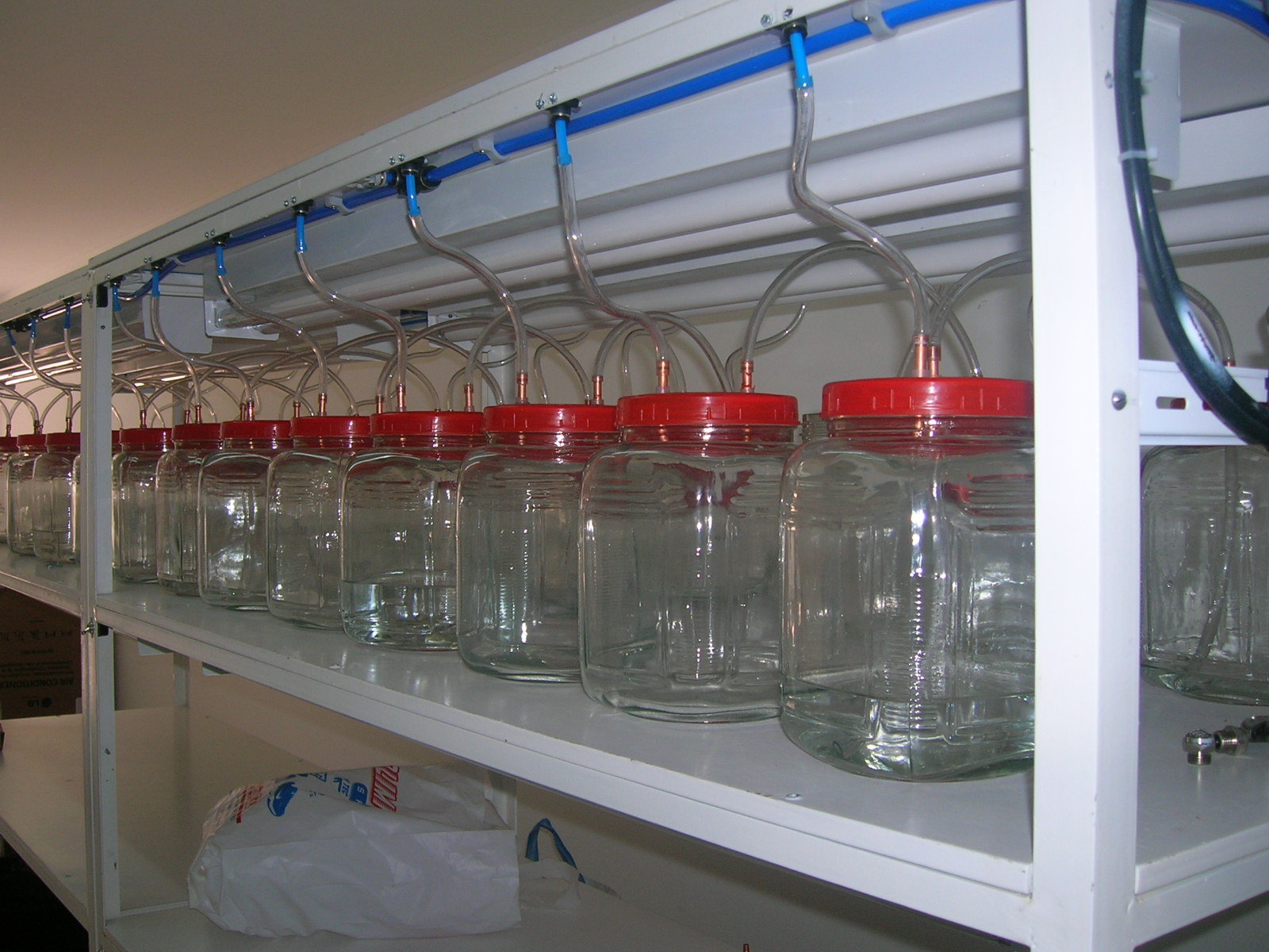 Agro-Biotecnología: Biorreactores