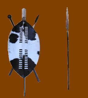 EDUCATION AND TECH : SHAKA OF THE ZULU