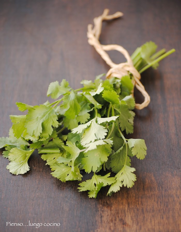 Pienso...luego cocino: Cilantro fresco