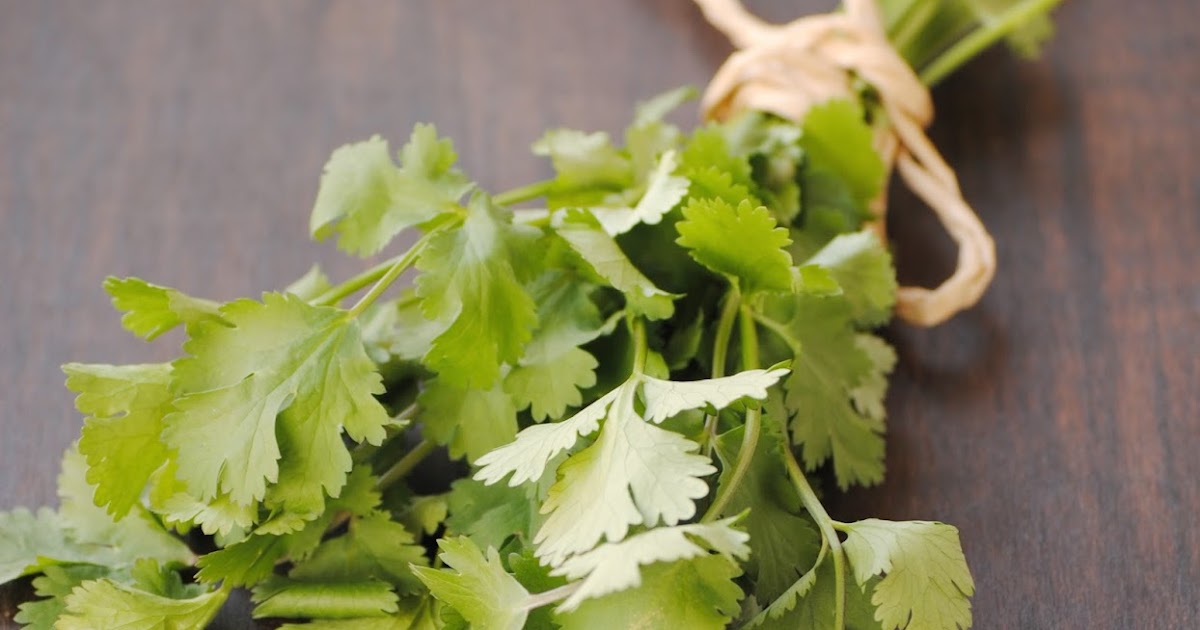 Pienso...luego cocino: Cilantro fresco
