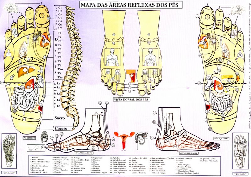 Saúde Integral: Reflexologia