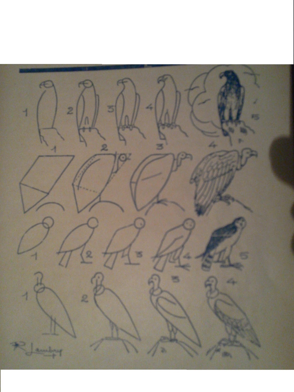 dessins,astuces,pour debutants: DESSINER LES OISEAUX