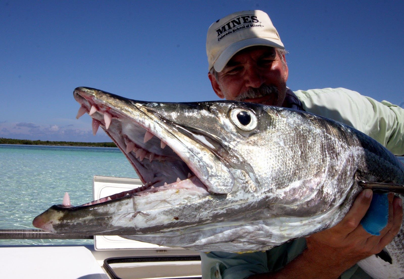 Fly Paper: Barracuda: A Couple Techniques for this Great Gamefish!