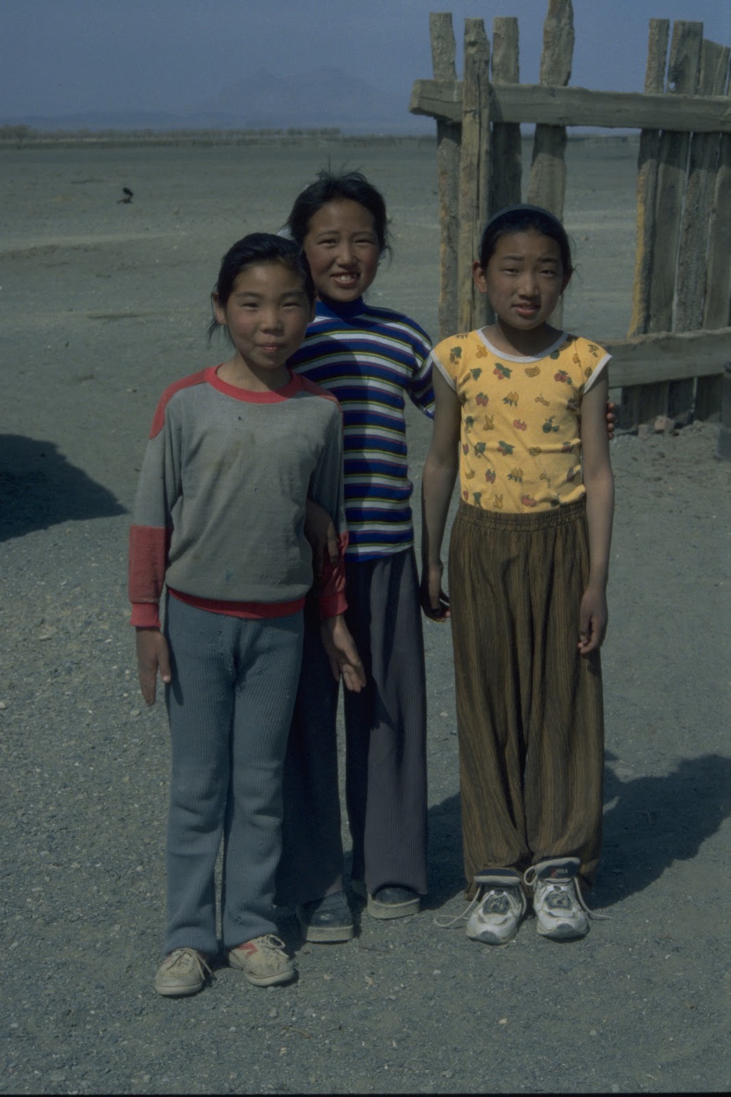 Daily Adventures: Epic Adventures Part III: In Search of the Gobi Bear