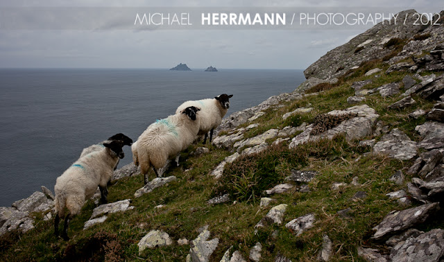 Landscape Photography in Kerry, Ireland: Bolus Head Loop Walk ...