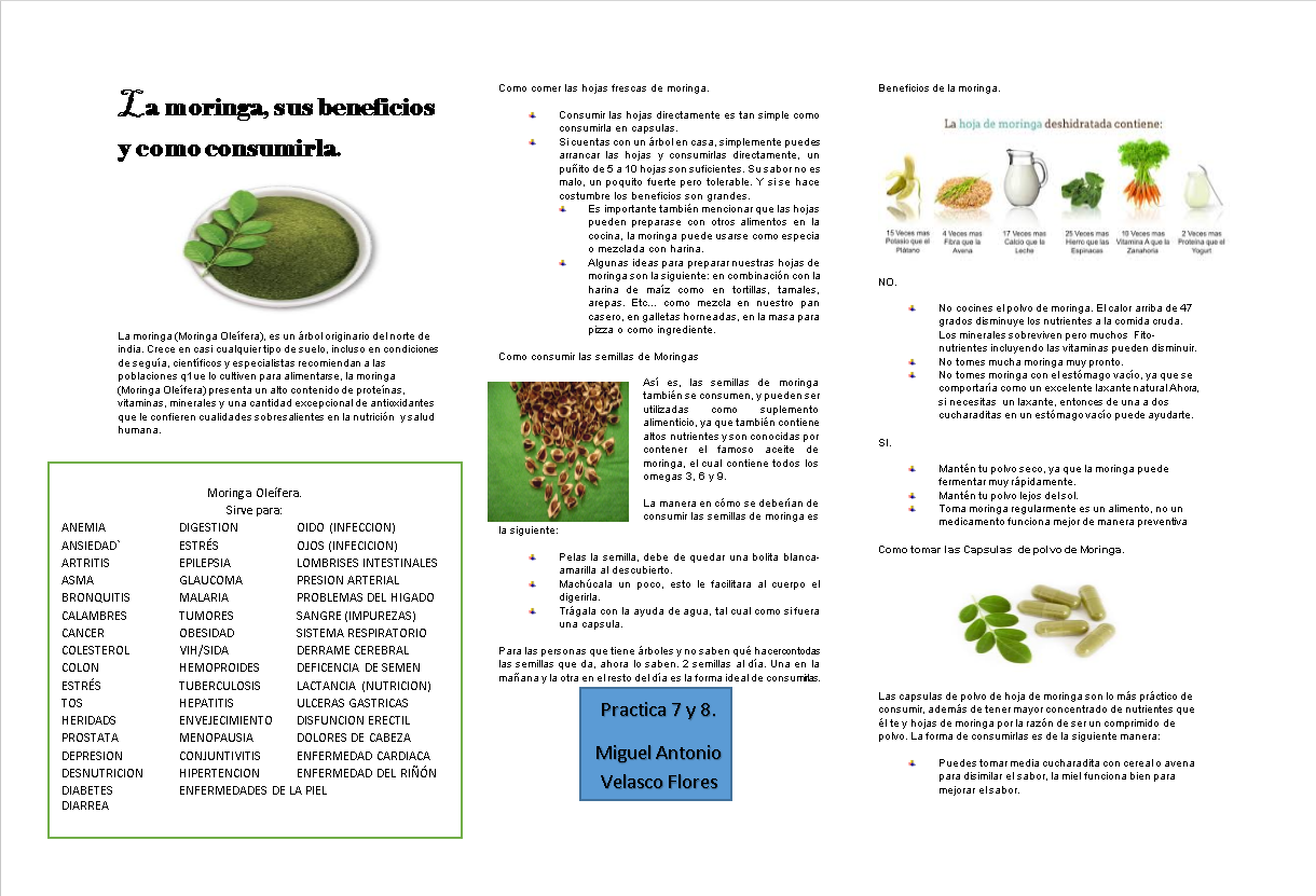 MOD.2 SUBMODULO.1 OFIMATICA 3-D