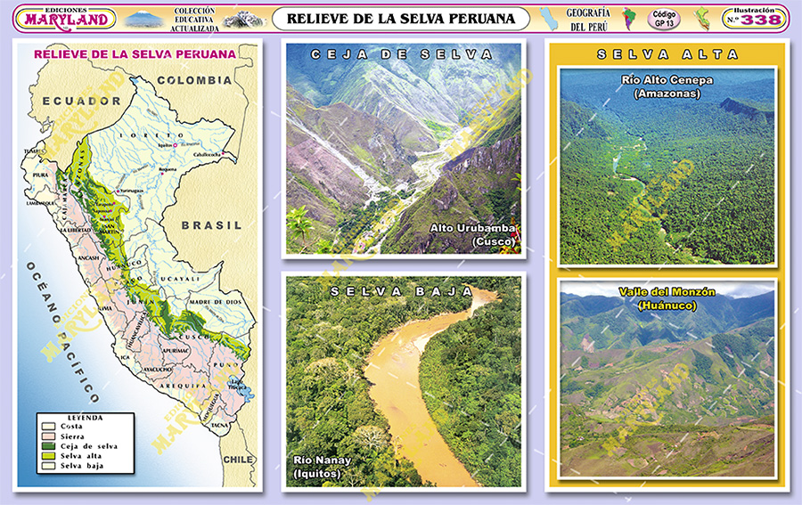 PERU EN EL EXTRANJERO: SELVA