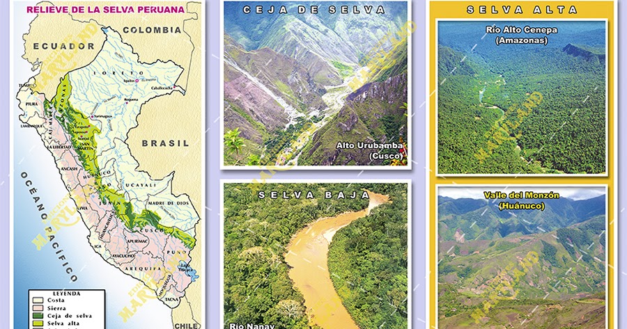 PERU EN EL EXTRANJERO: SELVA