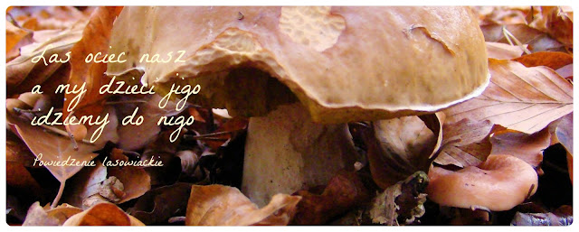 Trzeci Talerz: Lasowiacy i kuchnia lasowiacka